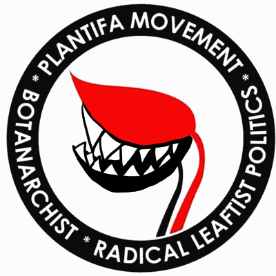 Ros Jackson (@rosjackson@wandering.shop) - Wandering Shop