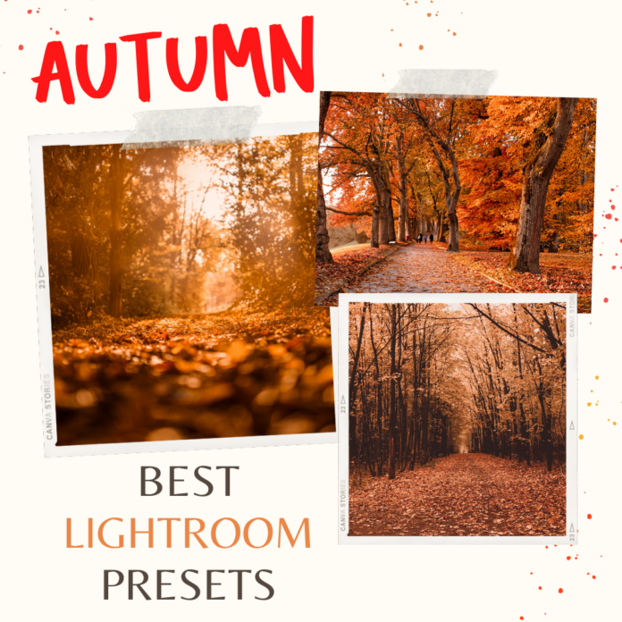 Top 100 Best Fall Presets for Lightroom - Website Tips and Tutorials