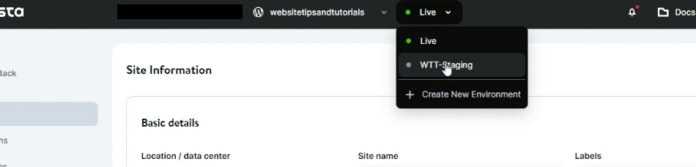 Getting Started with Kinsta: Create Staging Site - Website Tips and ...