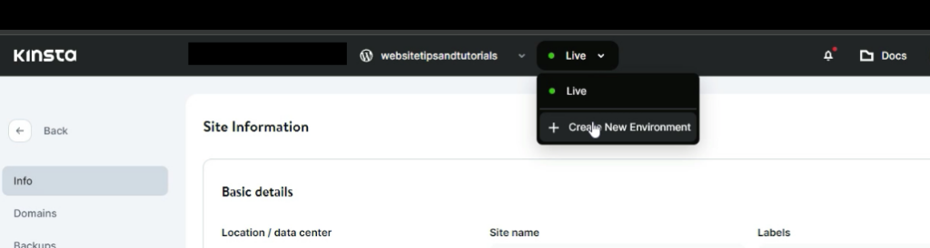 Getting Started with Kinsta: Create Staging Site - Website Tips and ...