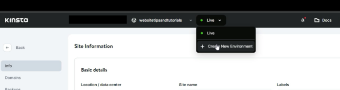 Getting Started with Kinsta: Create Staging Site - Website Tips and ...