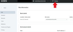 Getting Started with Kinsta: Create Staging Site - Website Tips and Tutorials