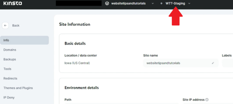 Getting Started with Kinsta: Create Staging Site - Website Tips and ...
