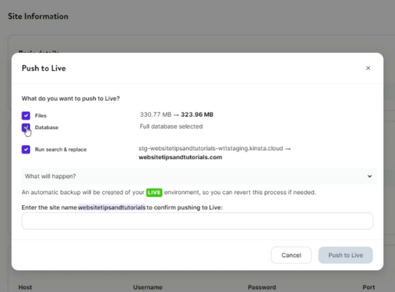 Getting Started with Kinsta: Create Staging Site - Website Tips and Tutorials