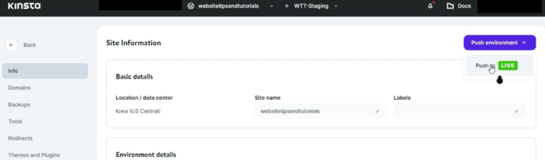 Getting Started with Kinsta: Create Staging Site - Website Tips and Tutorials