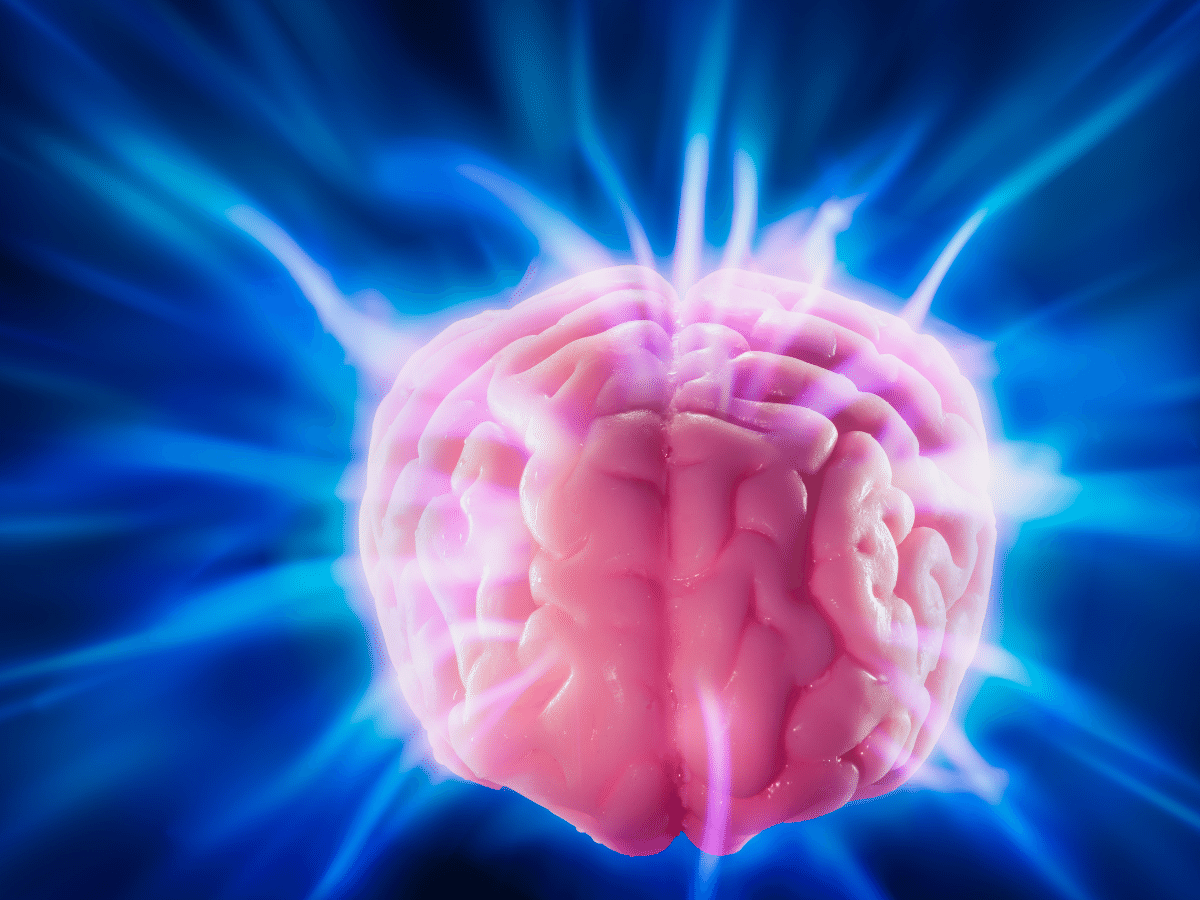 Roberta Grimes Talks About the Care and Feeding of Your Mind ...