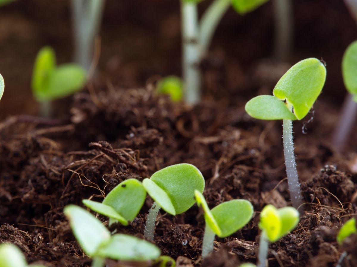 Life Underground with Professor Nancy Karanja, University of Nairobi ...