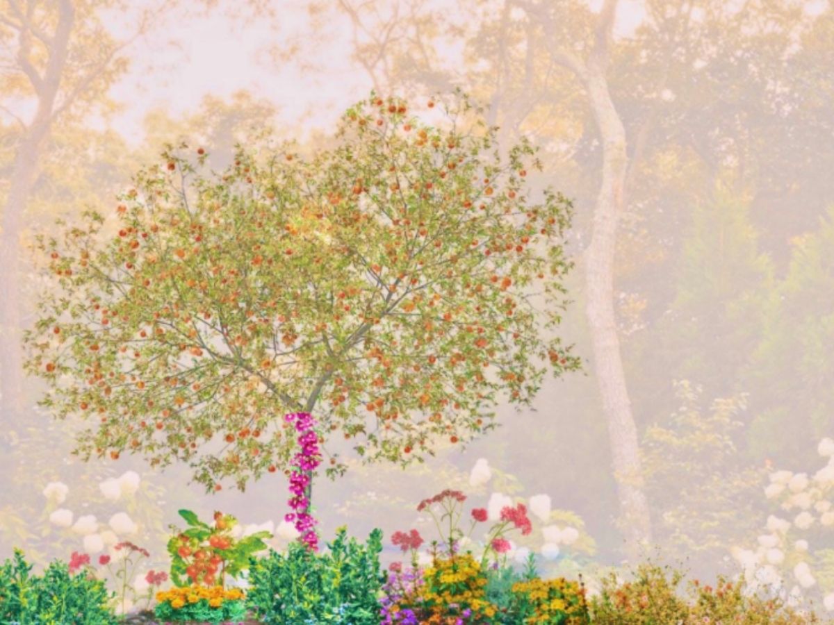 A Free-Range Childhood, Autodidactism, Entrepreneurship & Empowermen ...