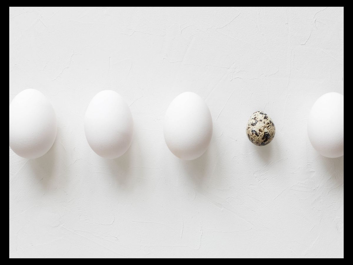 From Imposter to Authentic with Mike Raber - WebTalkRadio.net