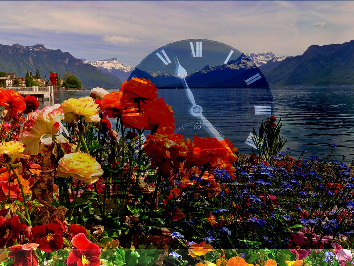 Join a virtual shopping excursion for the best gift for yourself ...