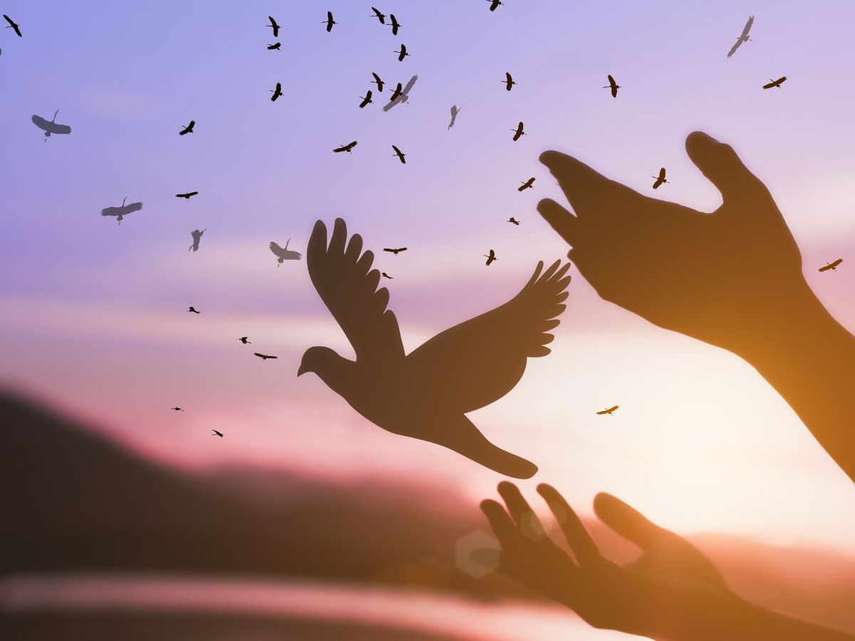 Hope Is Not a Method - WebTalkRadio.net